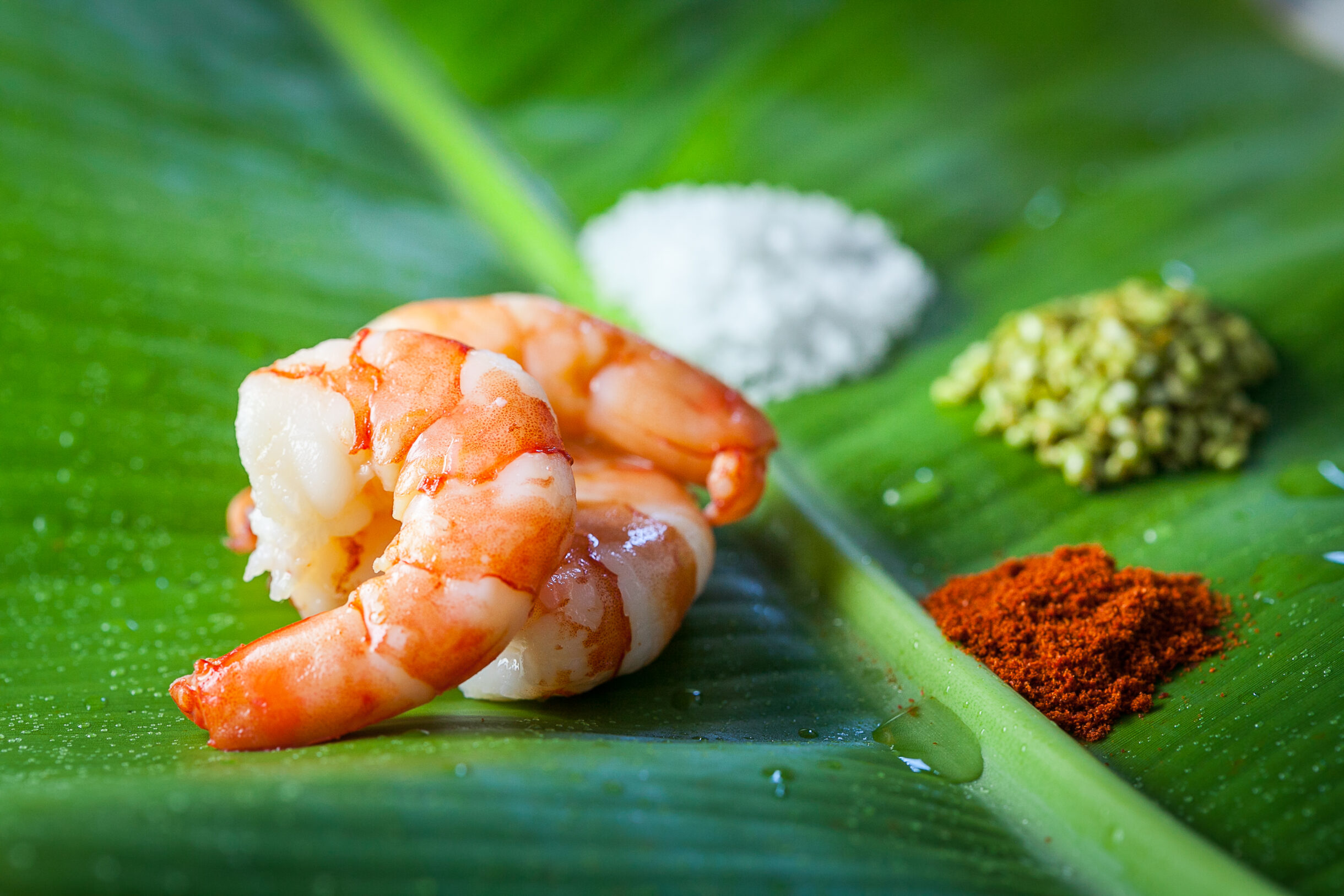 La gamme Bio nature - Miti